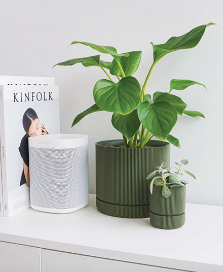 Hemlock Planter, Olive Green – WALRUS